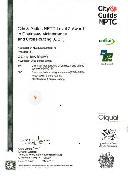 Insured & Qualified Tree Surgeons | GraftinGardeners Ltd