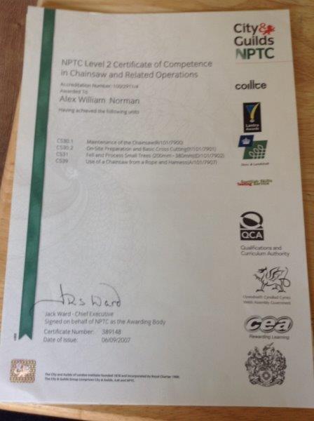 Insured & Qualified Tree Surgeons | GraftinGardeners Ltd