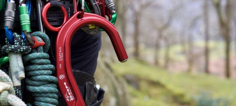 Tree Surgeon Equipment - What Equipment Do Arborists Use?