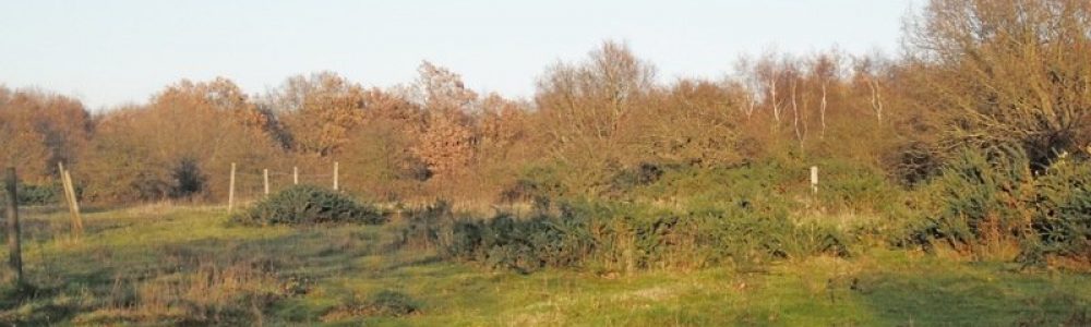 Epsom Common Nature Reserve | GraftinGardeners