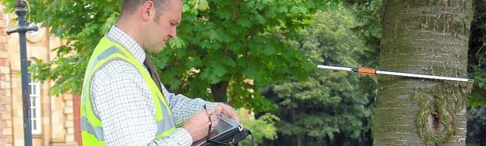 What Is A Tree Survey & Why Do I Need One? | GraftinGardeners Ltd