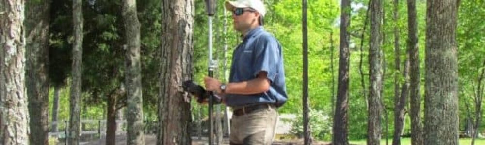 Different Types Of Tree Surveys And Reports | GraftinGardeners Ltd