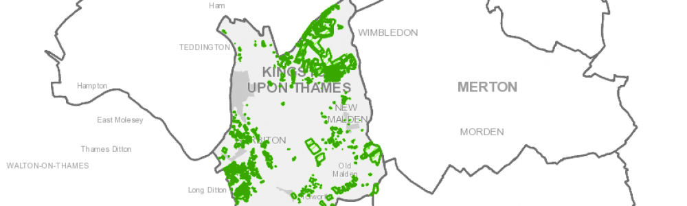 Trees And Hedges In Kingston | Royal Borough Of Kingston Upon Thames